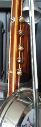 Shop for Polka Cellos at the Party Fiddle Factory